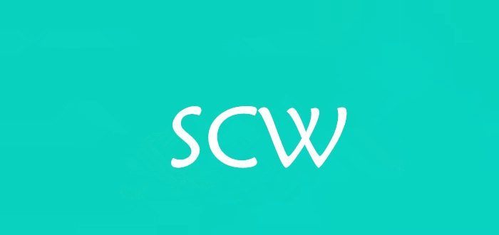 广告行业术语 SCW是什么意思？ | 零壹电商